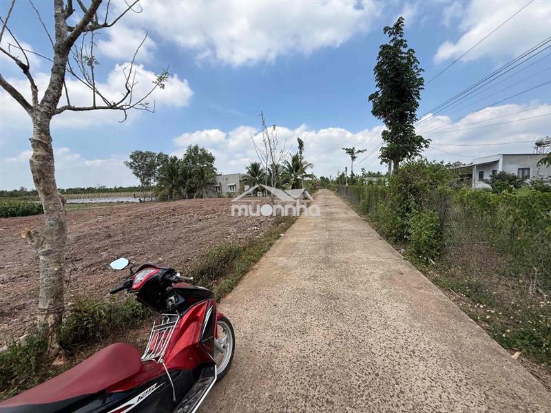 Mua bán bán đất Toàn quốc giá rẻ